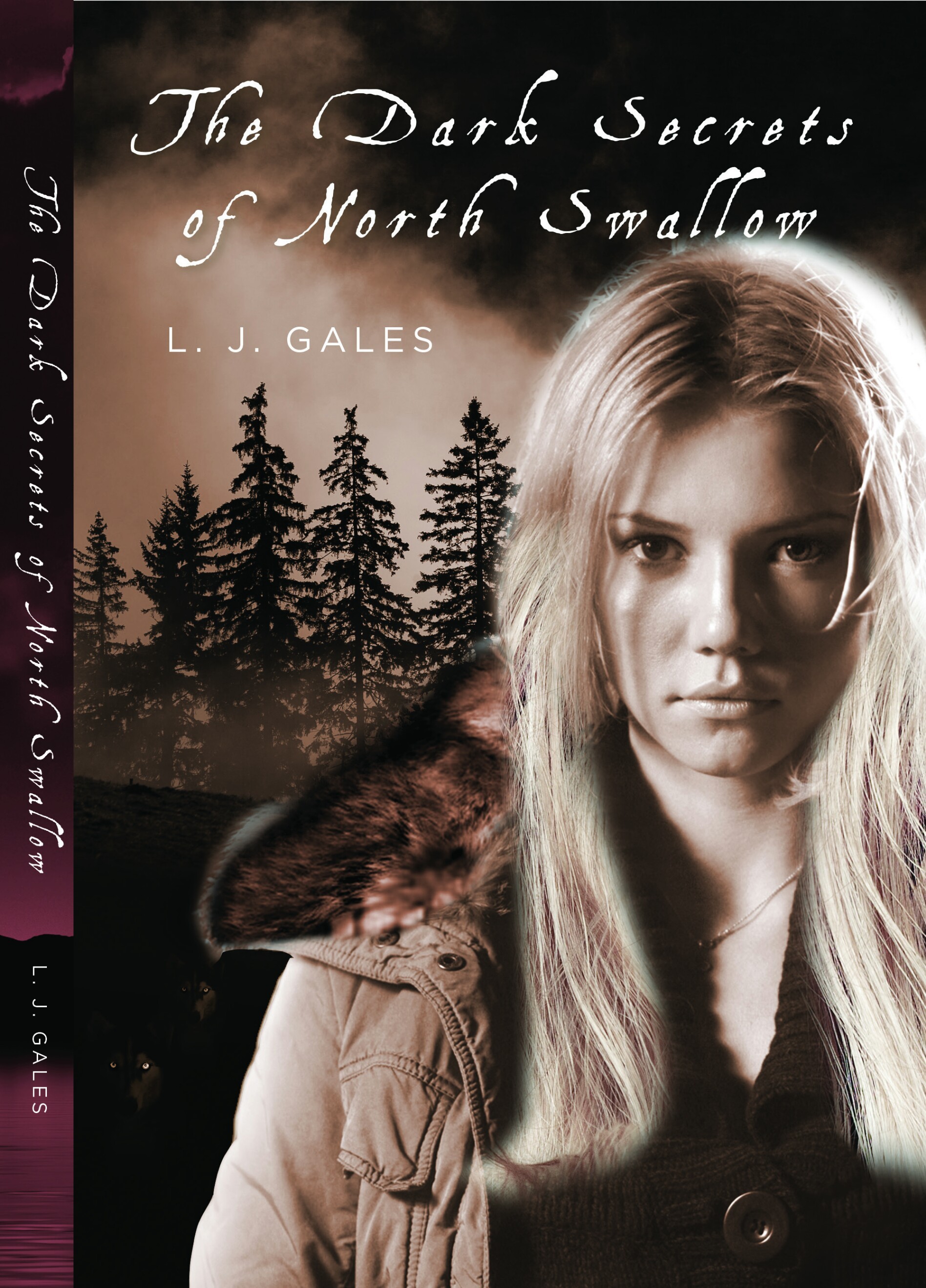 The Dark Secrets Of North Swallow by L.J. Gales | Goodreads