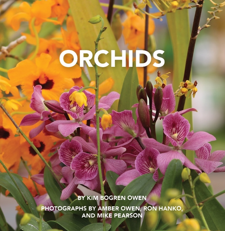 Orchids by Kim Bogren Owen | Goodreads