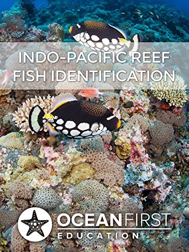 Indo-Pacific Reef Fish Identification by Ocean First Education | Goodreads