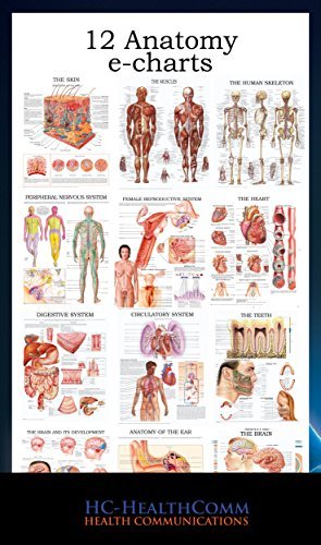 12 Anatomy e-charts: Full ilustrated by HC-HealthComm | Goodreads