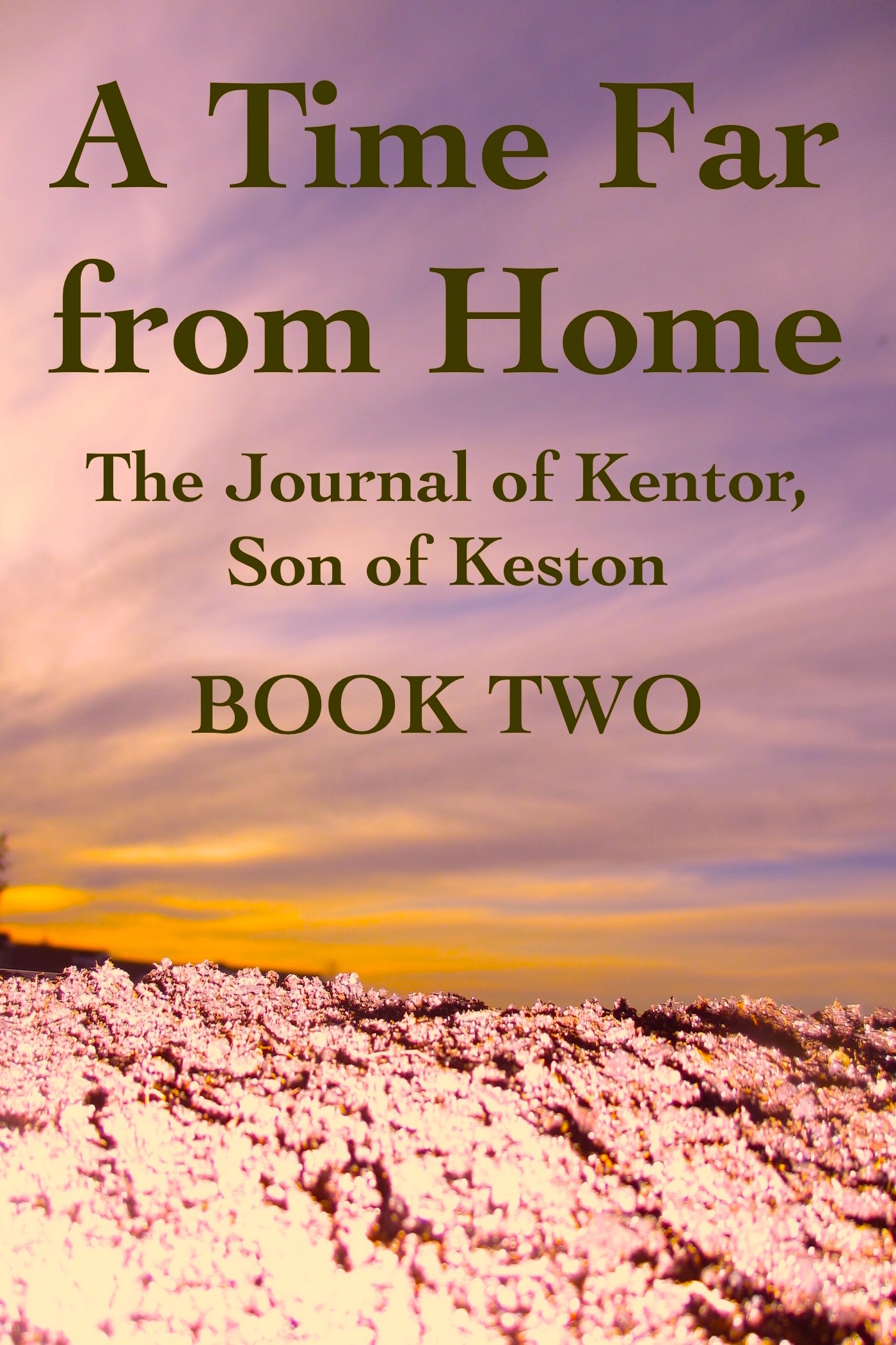 A Time Far from Home: The Journal of Kentor, Son of Keston--Book Two by ...