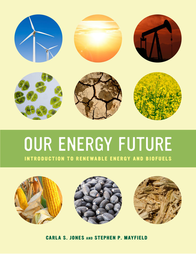 Our Energy Future: Introduction to Renewable Energy and Biofuels by ...