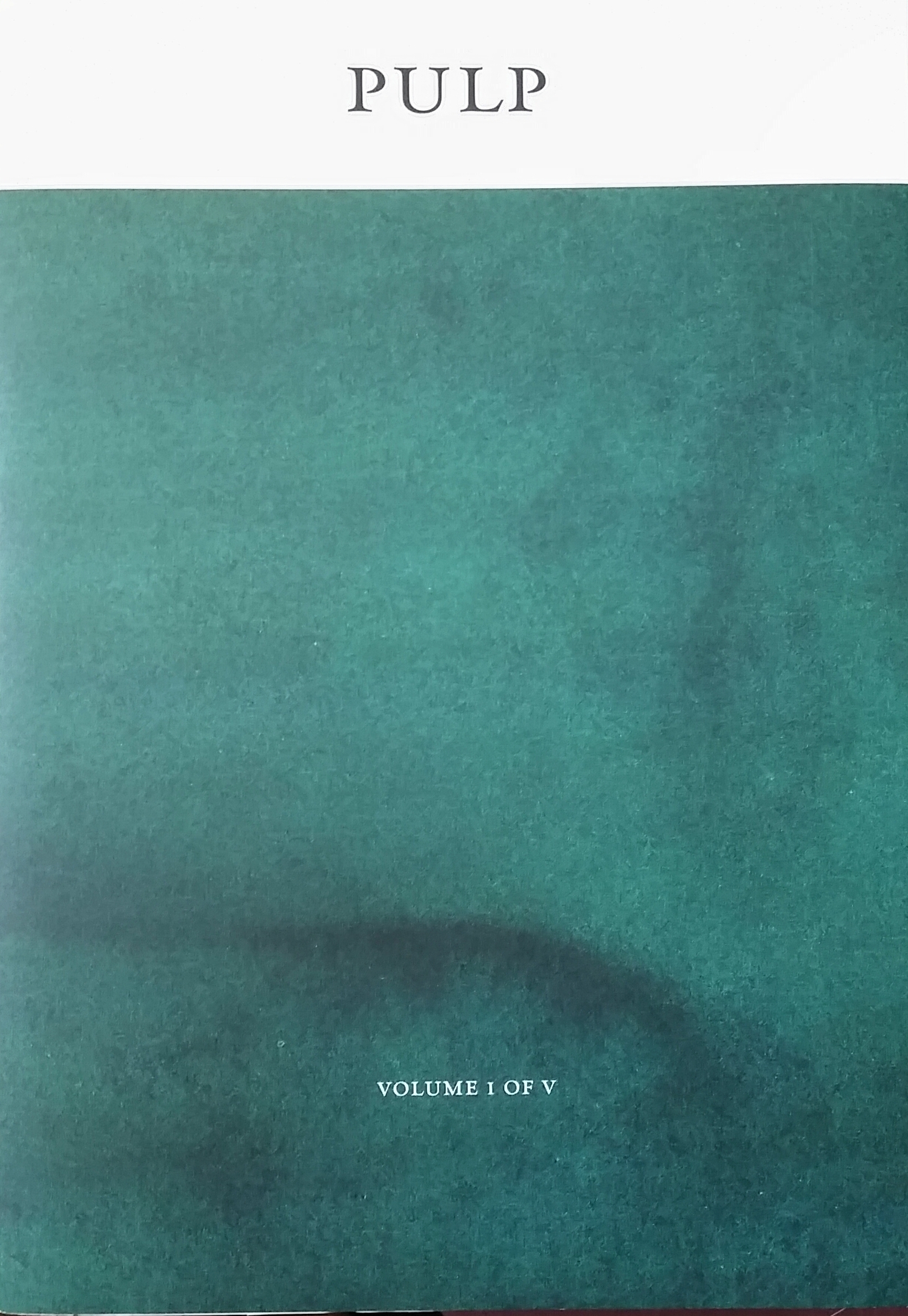 Pulp: A Short Biography of the Banished Book. Vol I of V by Shubigi Rao ...