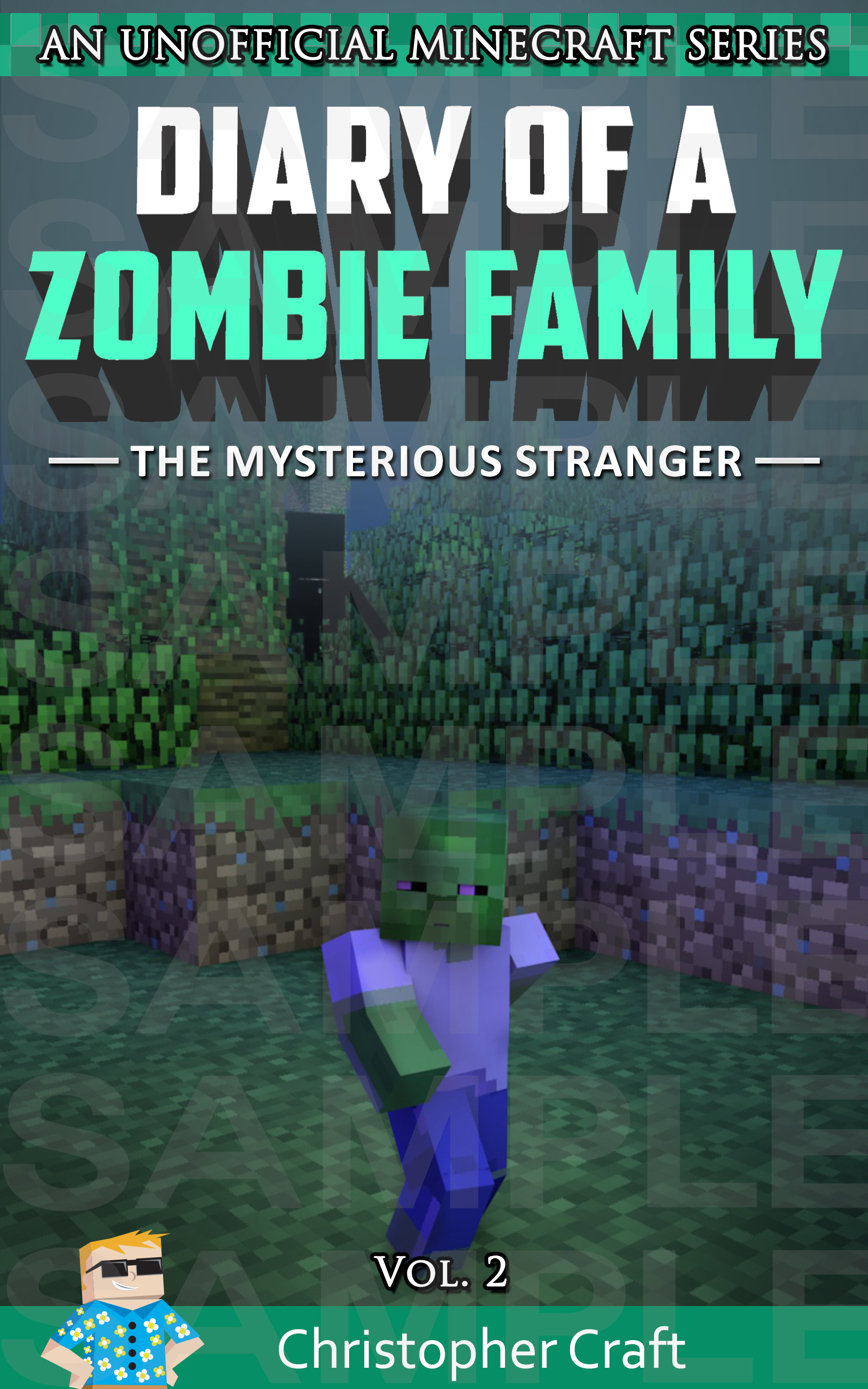 The Mysterious Stranger by Christopher Craft | Goodreads