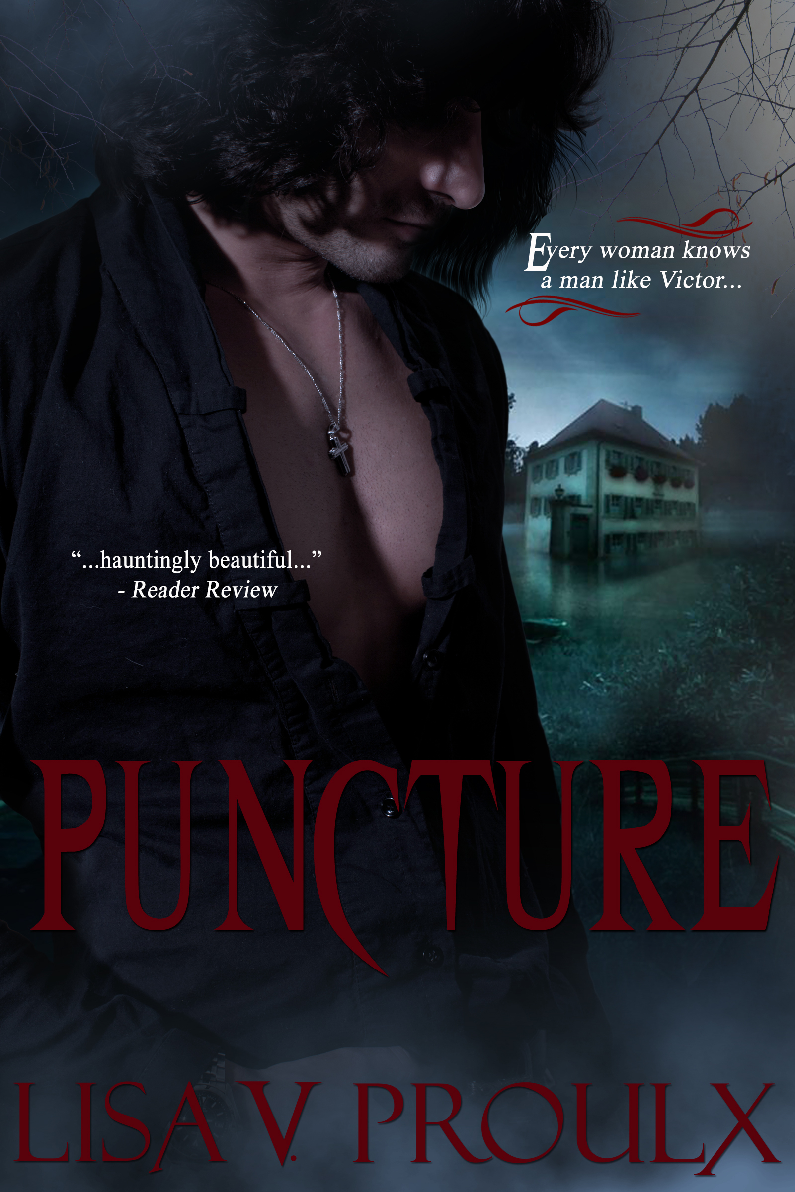 Puncture by Lisa V. Proulx | Goodreads