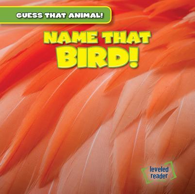 Name That Bird! (Guess That Animal!, 2) by Demi Jackson | Goodreads
