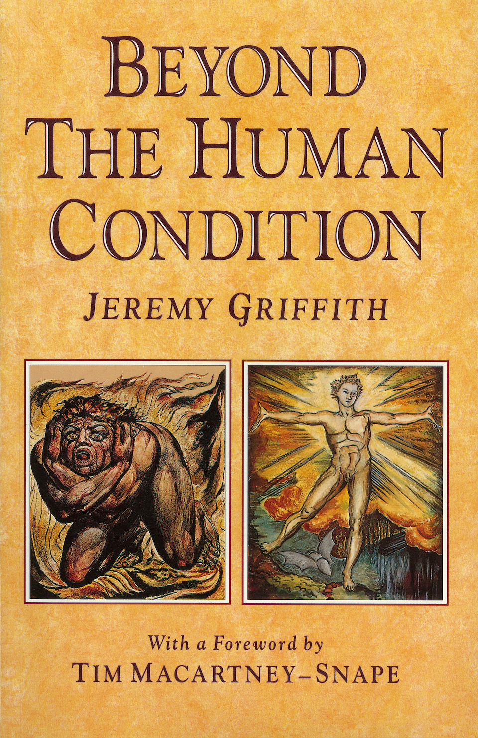 Beyond the Human Condition by Jeremy Griffith | Goodreads