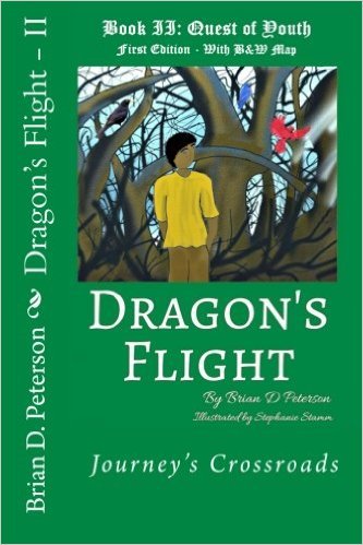 Quest of Youth (Dragon's Flight #2) by Brian D. Peterson | Goodreads