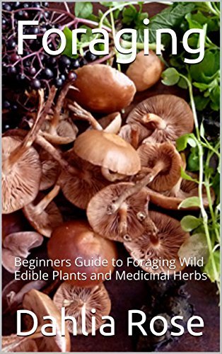 Foraging: Beginners Guide to Foraging Wild Edible Plants and Medicinal ...