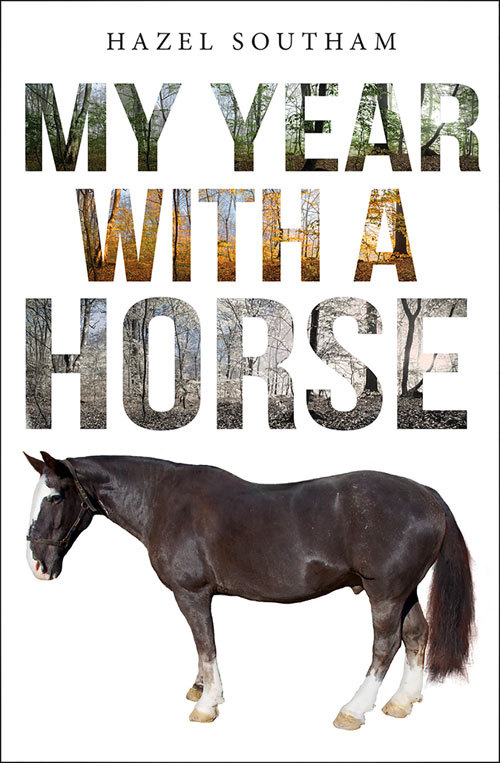 My Year With a Horse: Feeling the fear but doing it anyway by Hazel ...