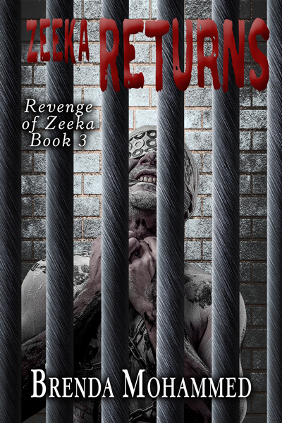 Zeeka Returns [Revenge of Zeeka Book 3] by Brenda C. Mohammed | Goodreads