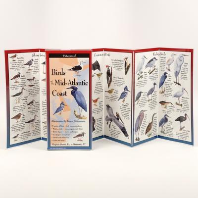 Earth Sky + Water FoldingGuide™ - Birds of the Mid-Atlantic Coast - 10 ...