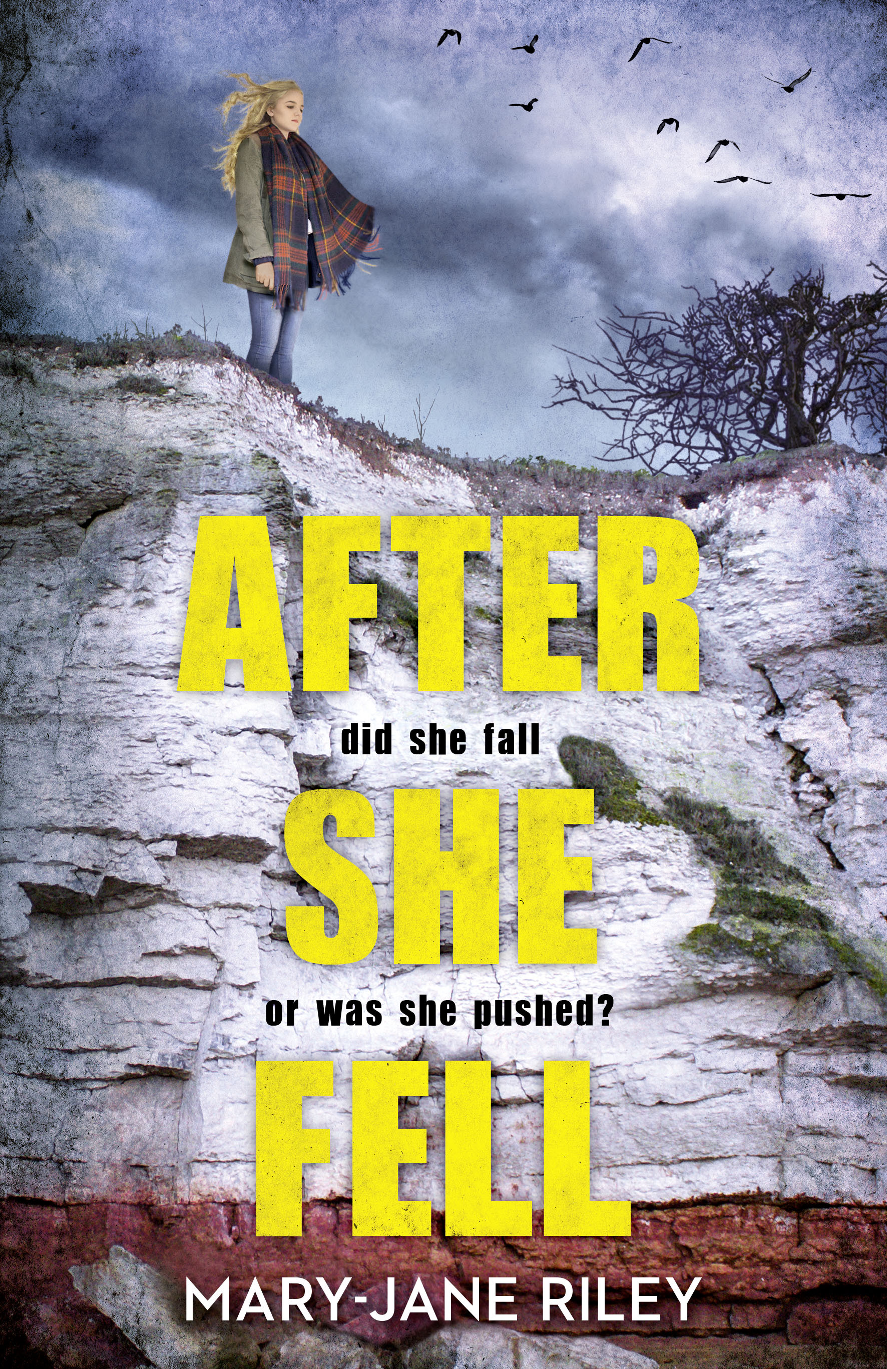 After She Fell (Alex Devlin, #2) by Mary-Jane Riley | Goodreads