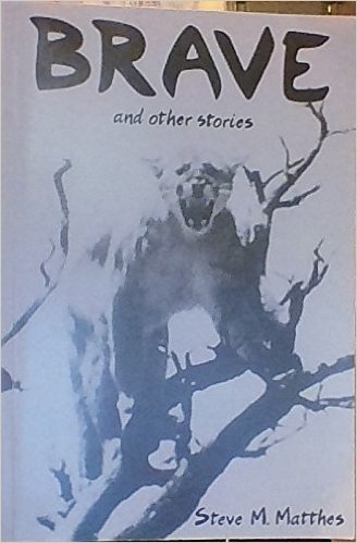 Brave by Steve M. Matthes | Goodreads