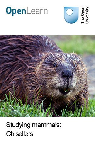 Studying mammals: Chisellers by Open University | Goodreads