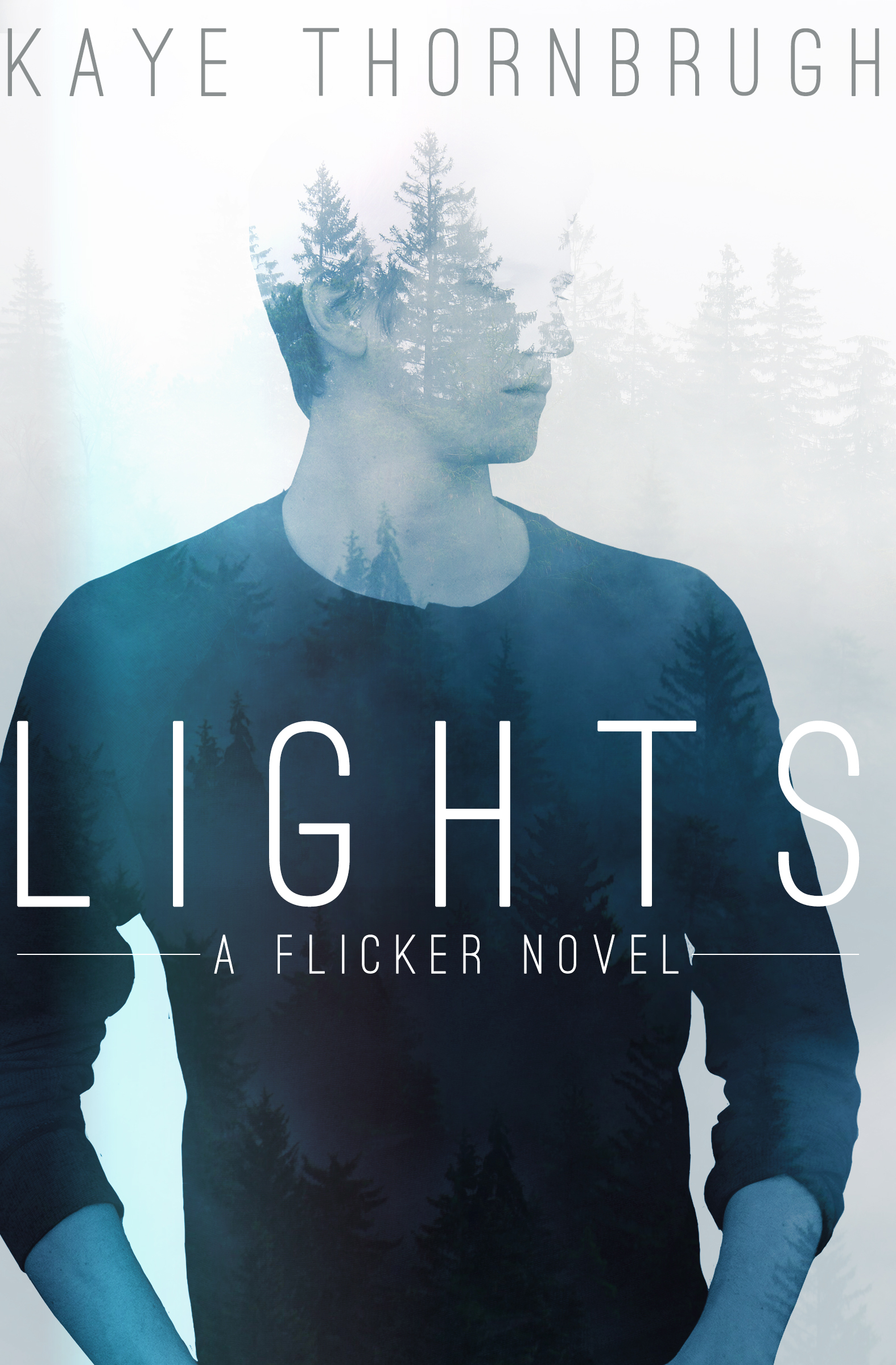 Lights (Flicker #3) by Kaye Thornbrugh | Goodreads