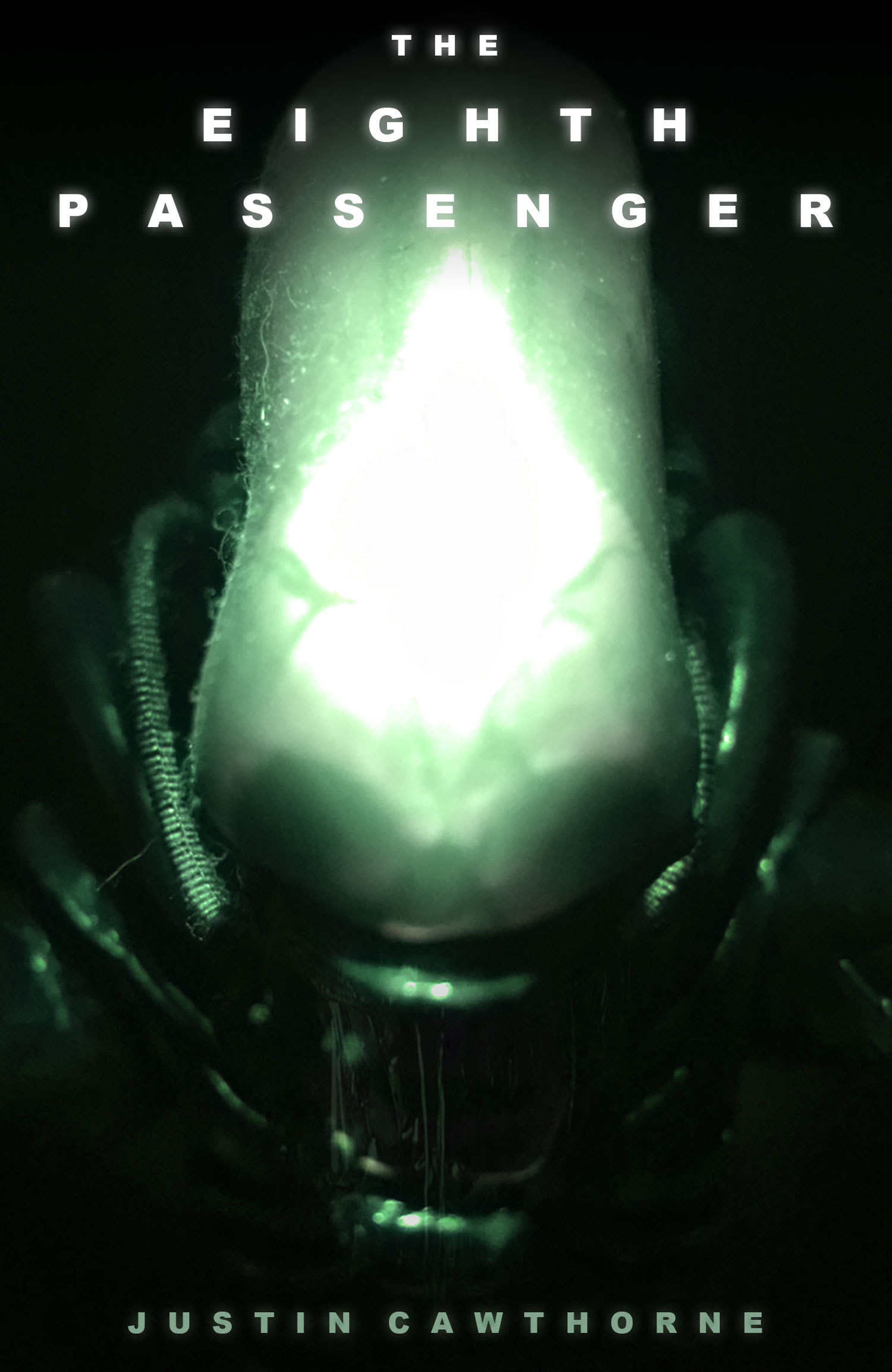 The Eighth Passenger by Justin Cawthorne | Goodreads