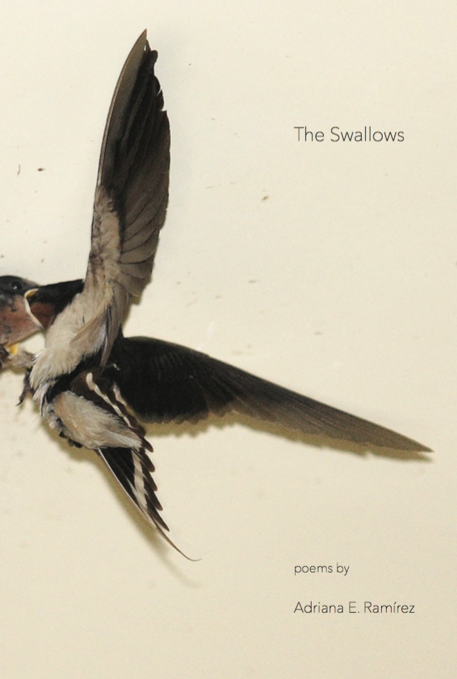 The Swallows by Adriana E. Ramírez | Goodreads