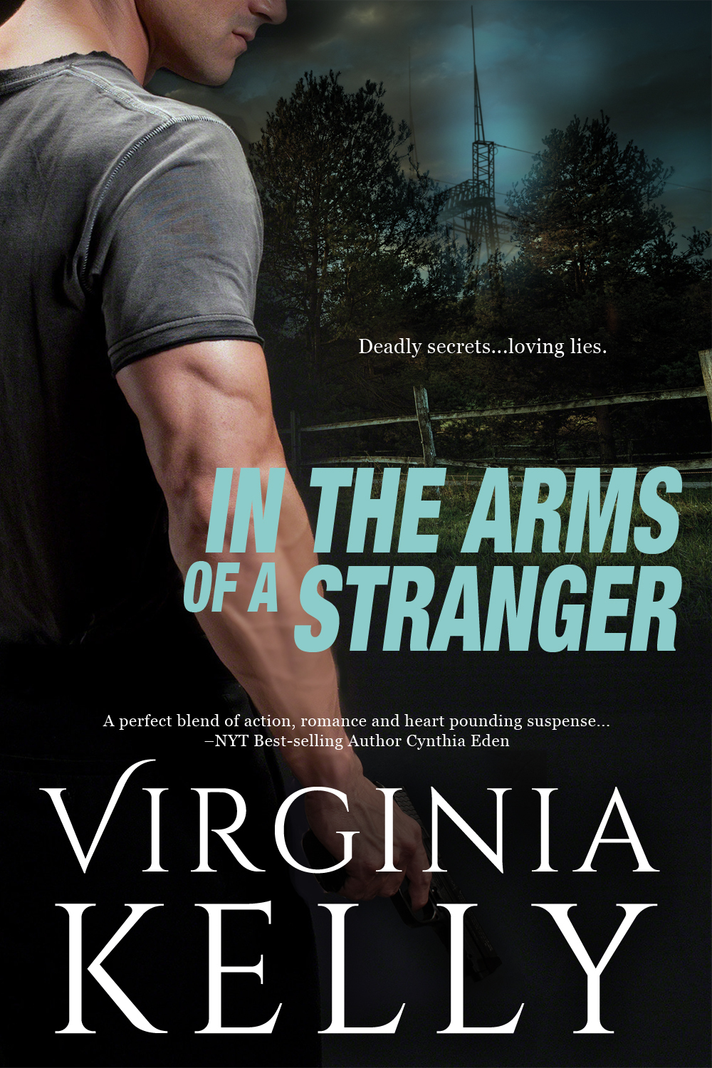 In the Arms of a Stranger (Shadow Heroes #2) by Virginia Kelly | Goodreads