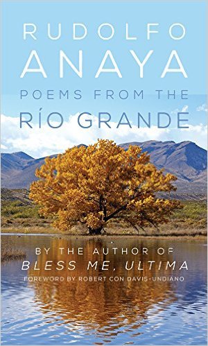Poems from the Rio Grande (Chicana and Chicano Visions of the Américas ...