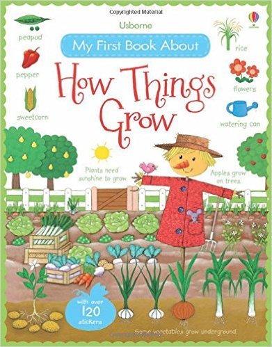 My First Book About How Things Grow by Felicity Brooks | Goodreads