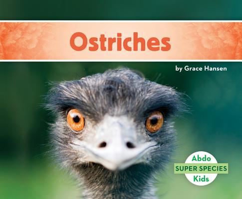 Ostriches (Super Species) by Grace Hansen | Goodreads