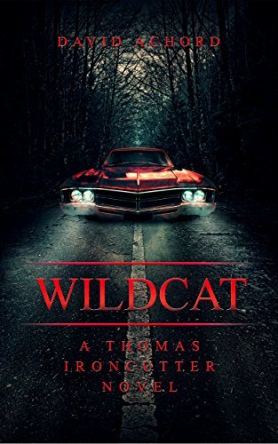 Wildcat (Thomas Ironcutter, #1) by David Achord | Goodreads