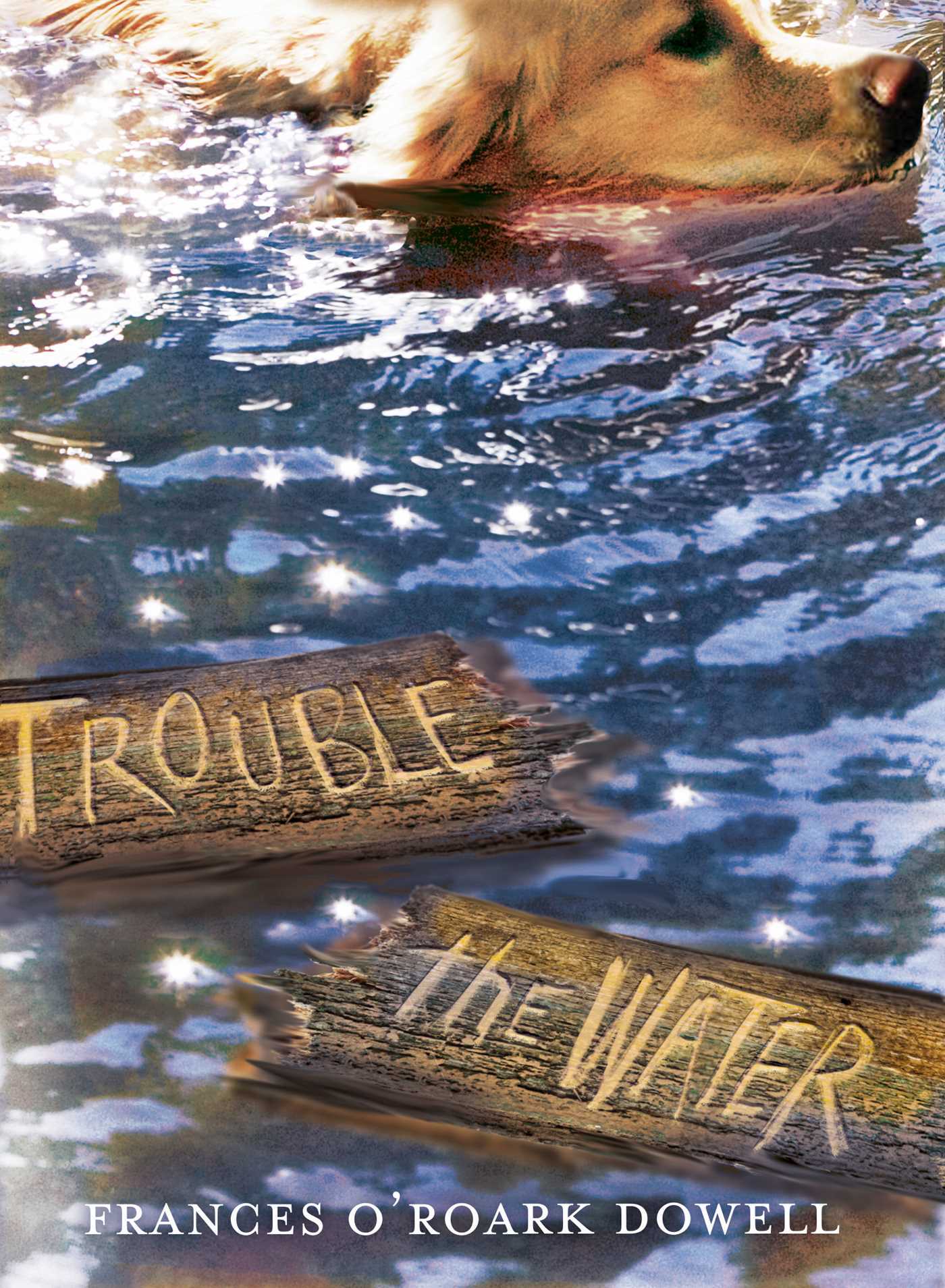 Trouble the Water by Frances O'Roark Dowell | Goodreads
