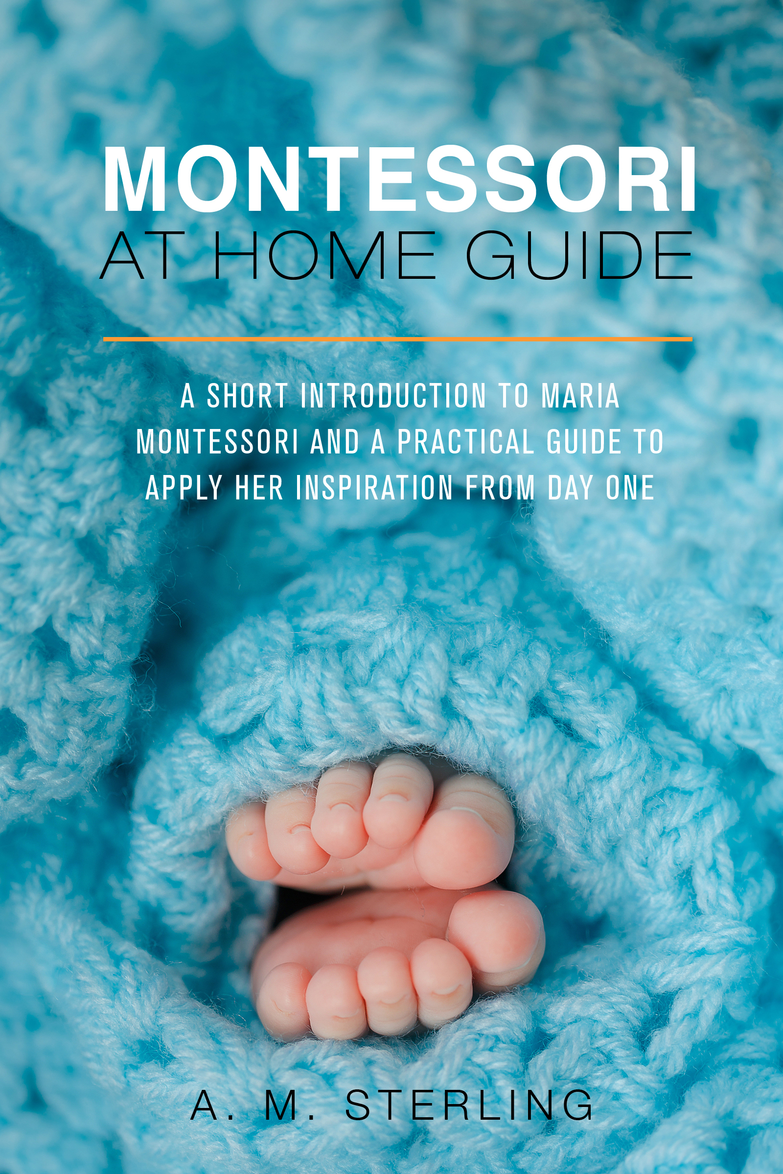 Montessori at Home Guide: A Short Introduction to Maria Montessori and ...