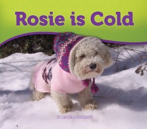 Rosie is Cold by Michele Dufresne | Goodreads