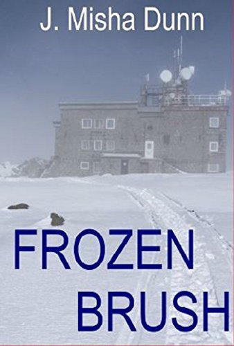 Frozen Brush (Andrew Brush #2) by J. Misha Dunn | Goodreads