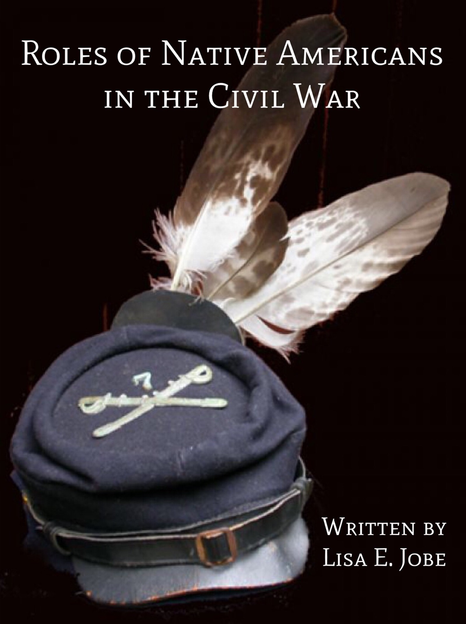 Roles of Native Americans in the Civil War by Lisa E. Jobe | Goodreads