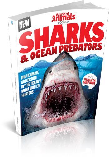 World of animals book of sharks & ocean predators by Aaron Asadi ...