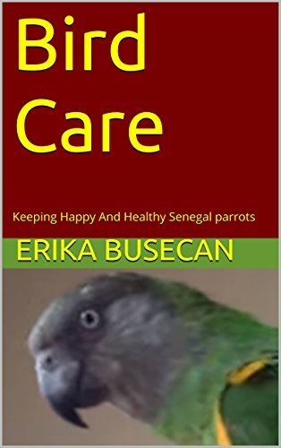 Bird Care: Keeping Happy And Healthy Senegal parrots by Erika Busecan ...