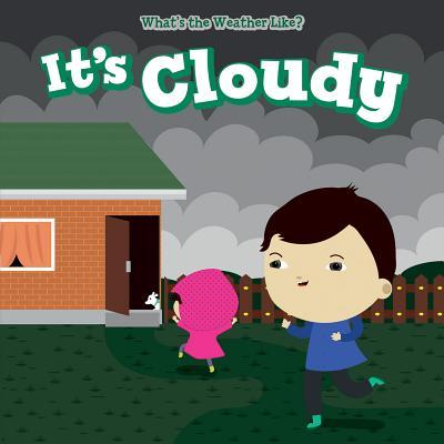 It's Cloudy (What's the Weather Like?) by Celeste Bishop | Goodreads