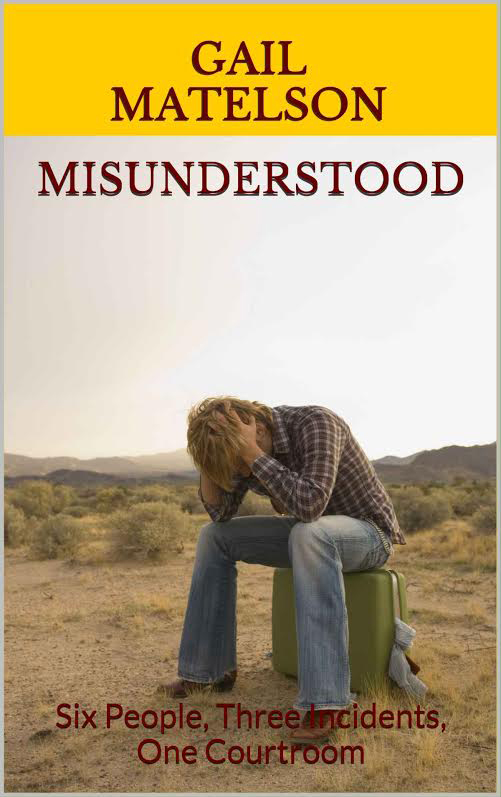 Misunderstood: Six People, Three Incidents, One Courtroom by Gail ...