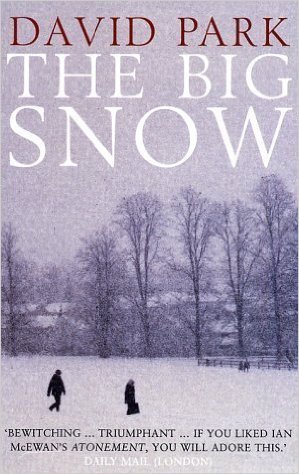 The Big Snow by David Park | Goodreads