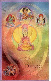 Delog: Journey to Realms Beyond Death by Delog Dawa Drolma | Goodreads