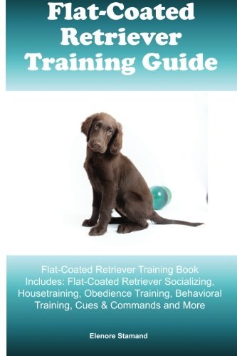 Flat-Coated Retriever Training Guide Flat-Coated Retriever Training ...
