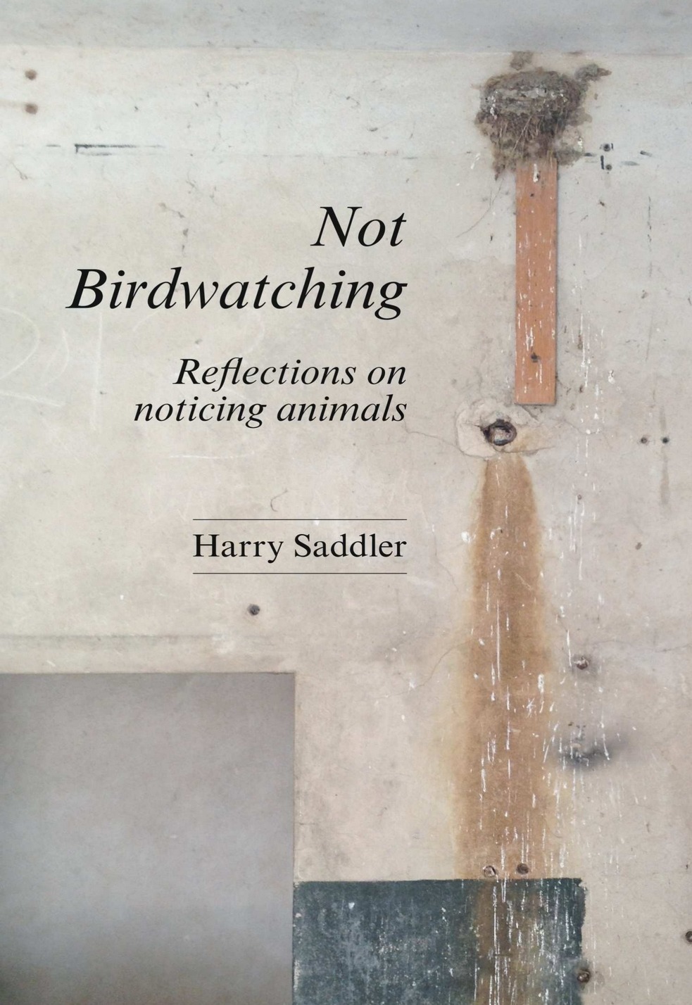 Not Birdwatching: Reflections on noticing animals by Harry Saddler ...