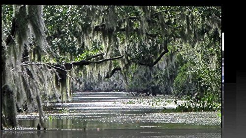 Weep's, the Bayou by Rodrigue Amador | Goodreads