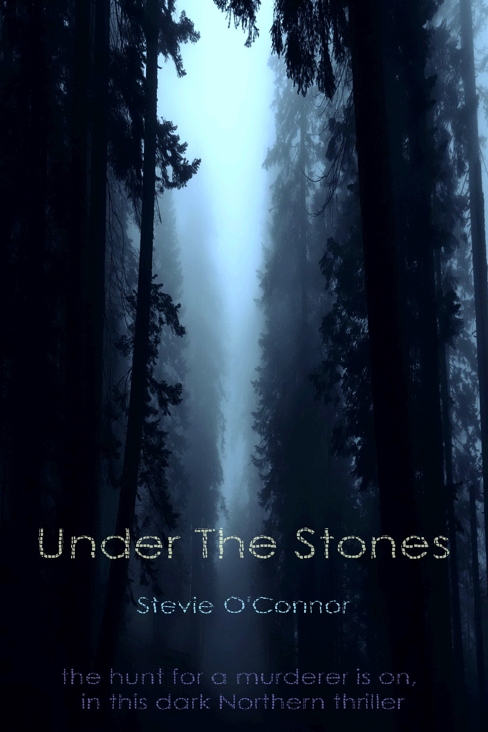 Under The Stones by Stevie O'Connor | Goodreads