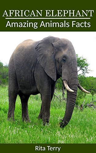 African Elephant: Amazing Photos & Fun Facts Book About African ...