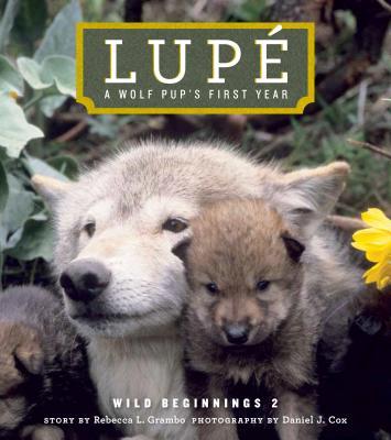 Lupe: A Wolf Pup's First Year by Rebecca L Grambo | Goodreads