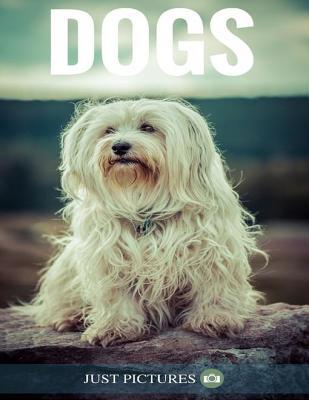 Dogs by Just Pictures | Goodreads