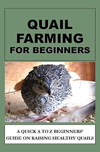 Quail Farming For Beginners: A Quick A To Z Beginners' Guide On Raising ...