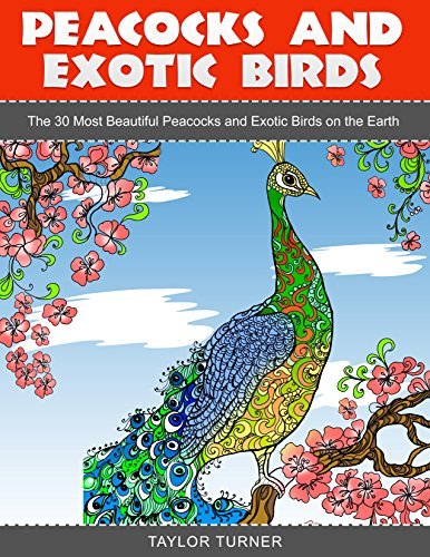 Peacocks and Exotic Birds: The 30 Most Beautiful Peacocks and Exotic ...