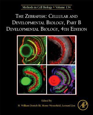 The Zebrafish: Cellular and Developmental Biology, Part B Developmental ...