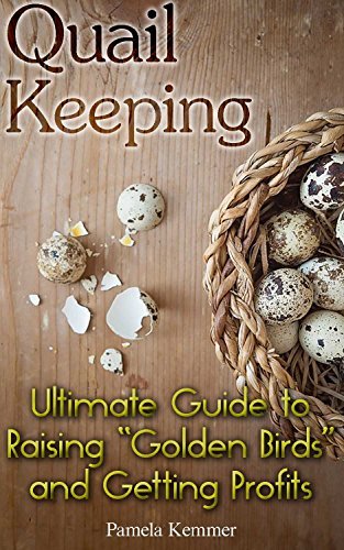 Quail Keeping: Ultimate Guide to Raising “Golden Birds” and Getting ...