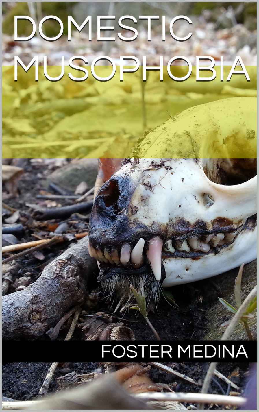 Broken Vows and Burned Flesh (Domestic Musophobia) by Foster Medina ...